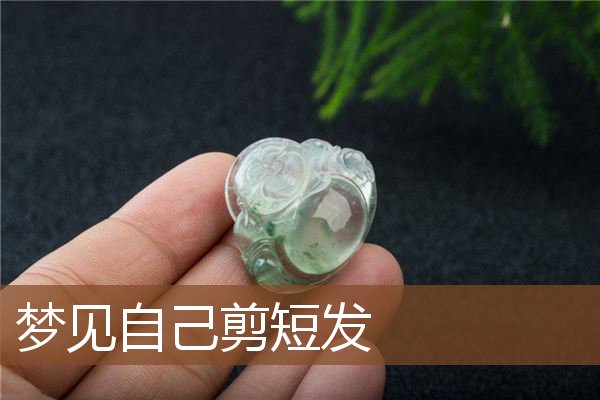 梦见自己剪短发周公解梦梦到自己剪短发是什么意思做梦梦见自己剪短发好不好周公解梦官网